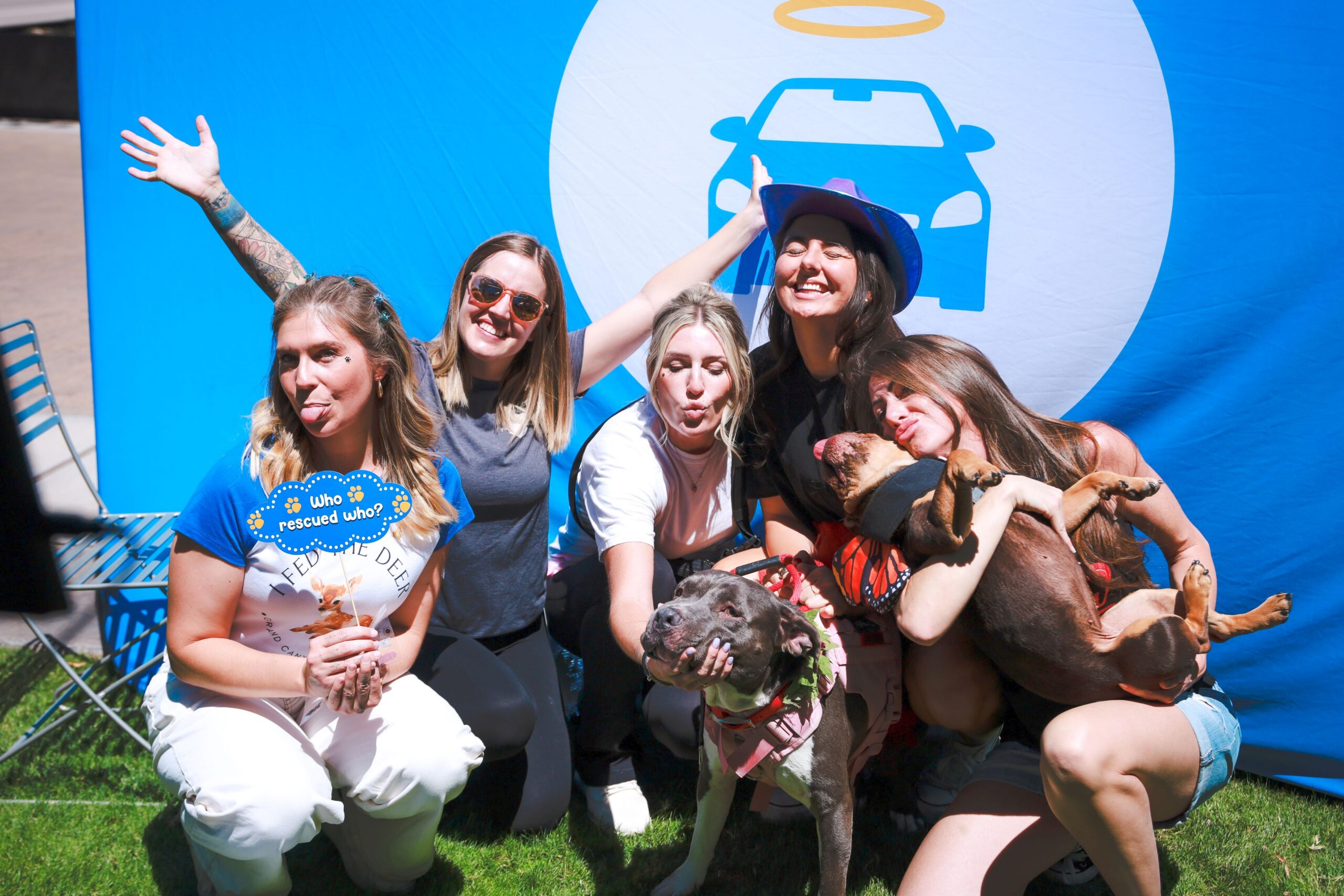 Carvana Celebrates National Adopt a Shelter Pet Day with Company-Wide ...